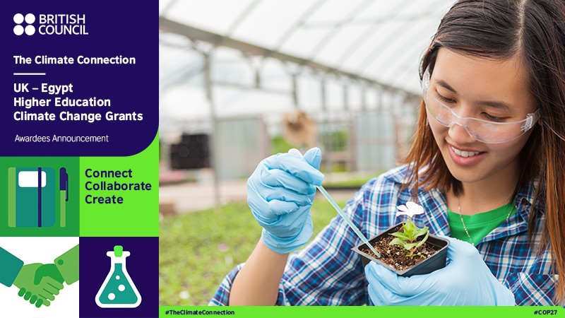 UK-Egypt Higher Education Climate Grants: Awardees Announcement ...